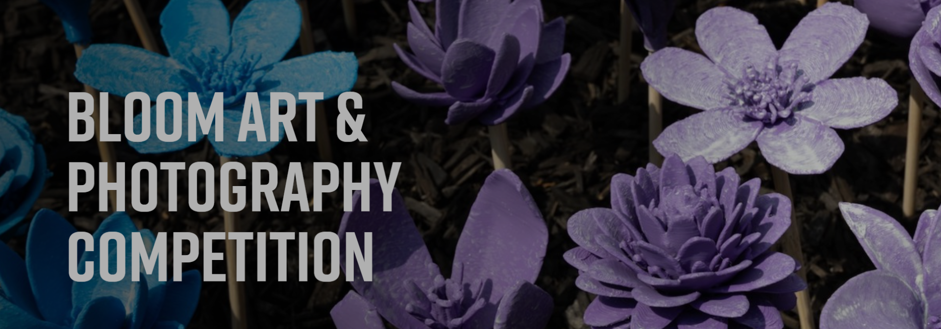 Bloom Art & Photography Winner